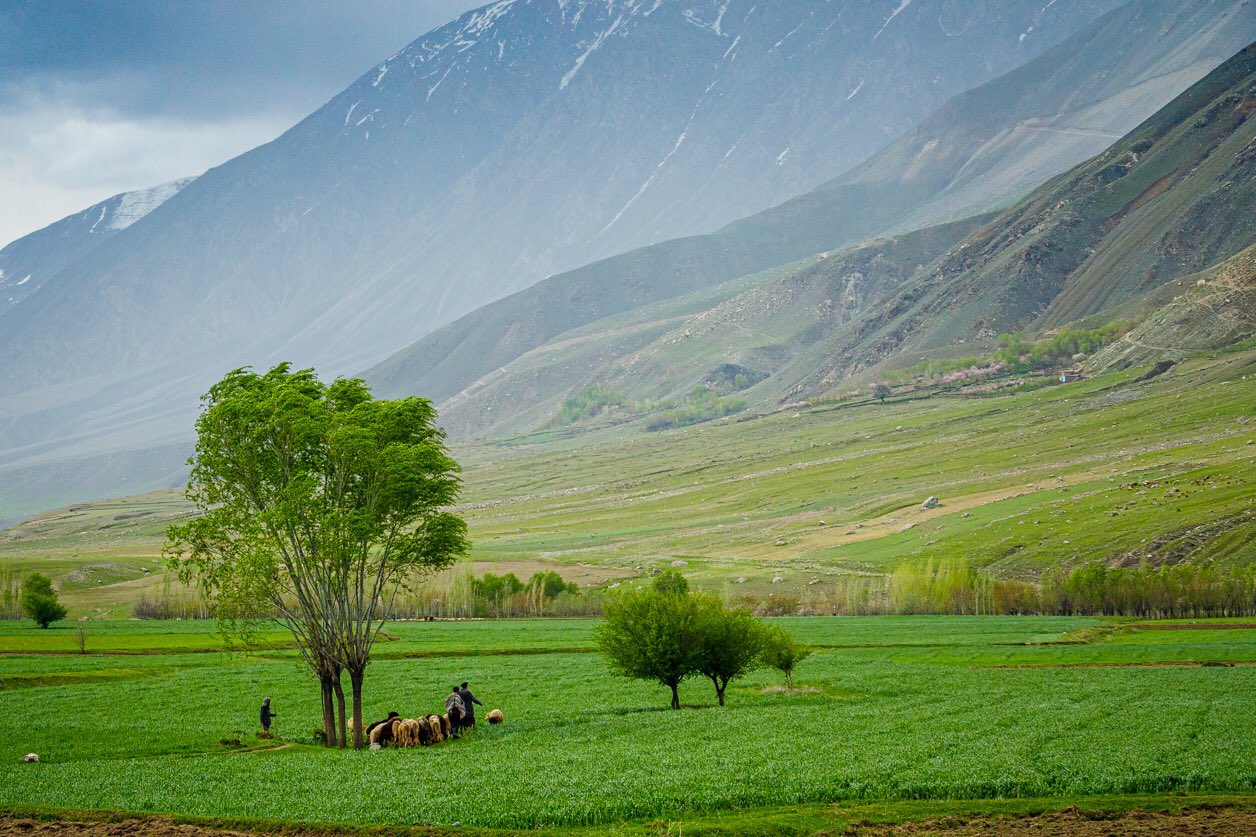 Afghan Welcomed World